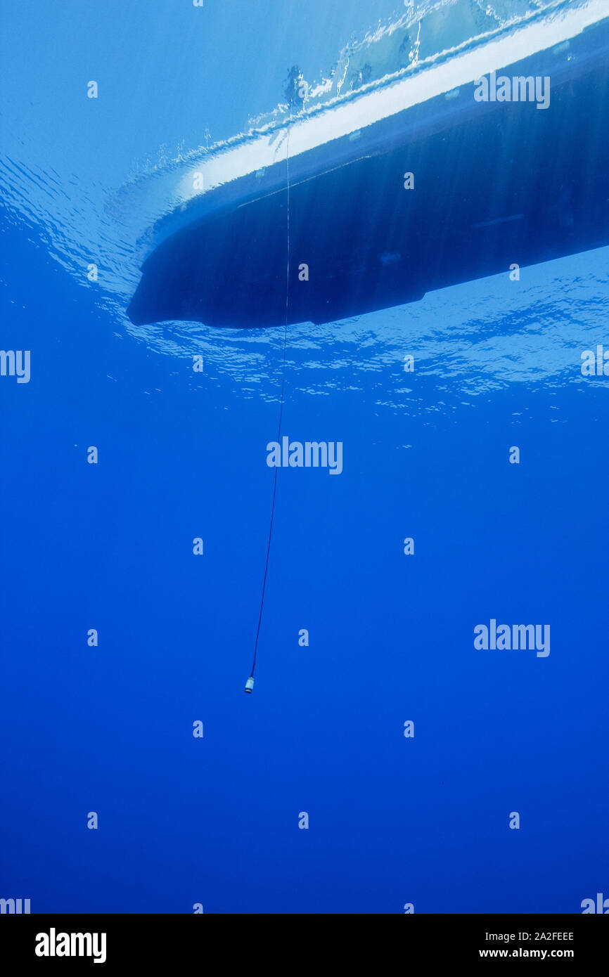 Hydrophone whales hi-res stock photography and images - Alamy
