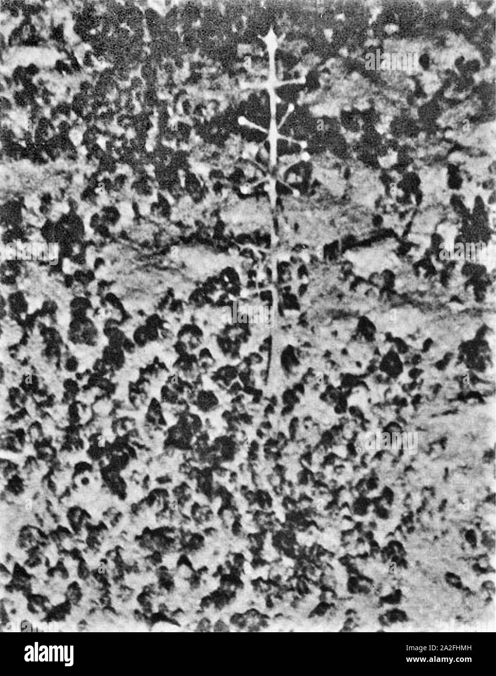 Eltanin antenna hi-res stock photography and images - Alamy