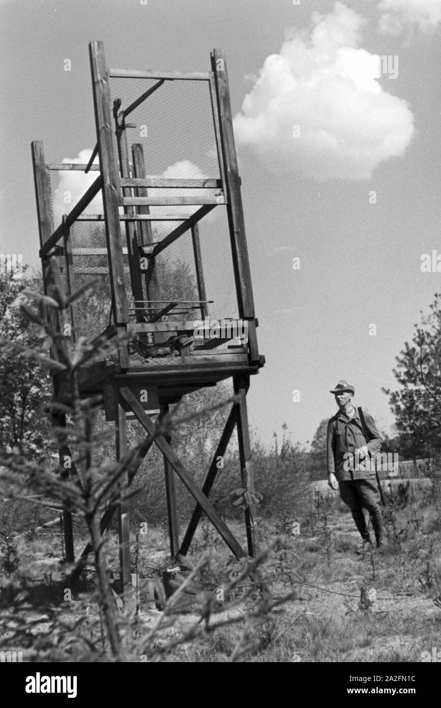 From forster Black and White Stock Photos & Images - Alamy