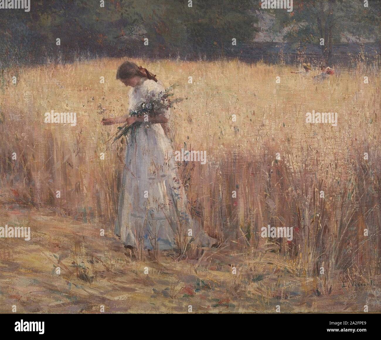 Trigal hi-res stock photography and images - Alamy