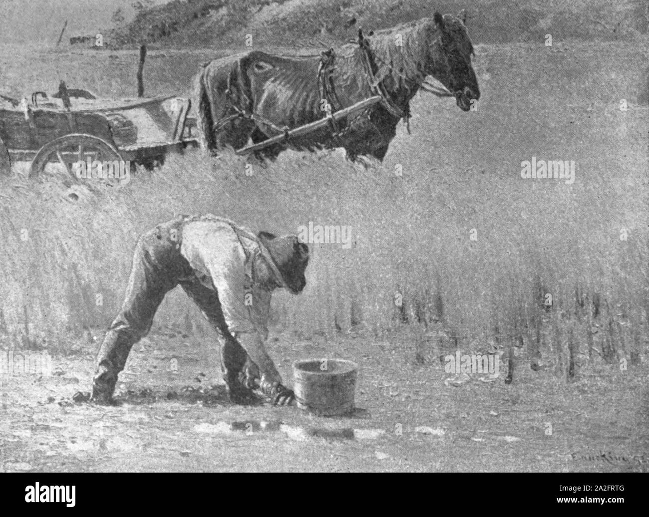 Enneking South Duxbury Clam-Digger p.89 Stock Photo - Alamy