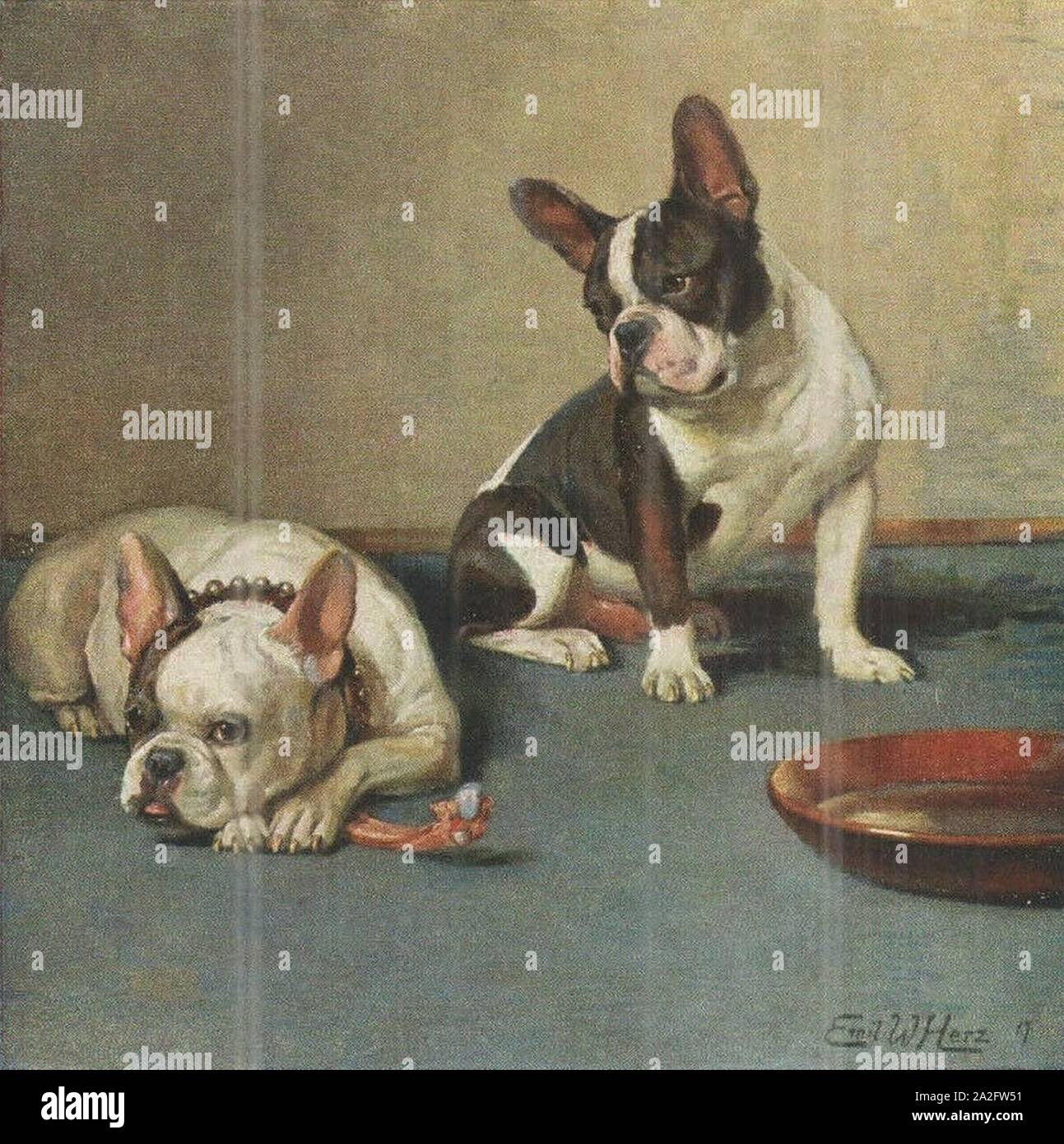 Emil W. Herz - Futterneid Stock Photo - Alamy