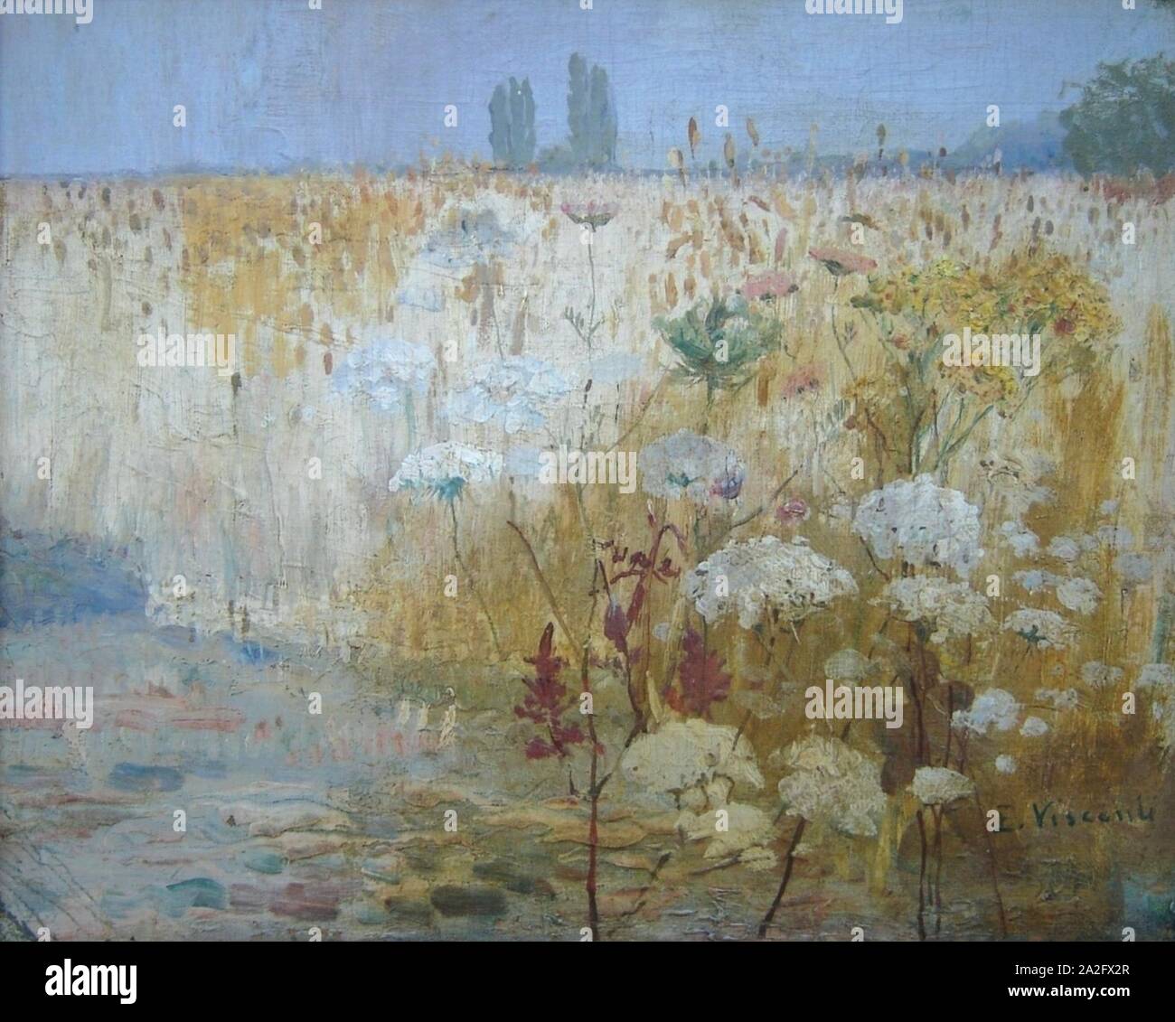 Trigal hi-res stock photography and images - Alamy