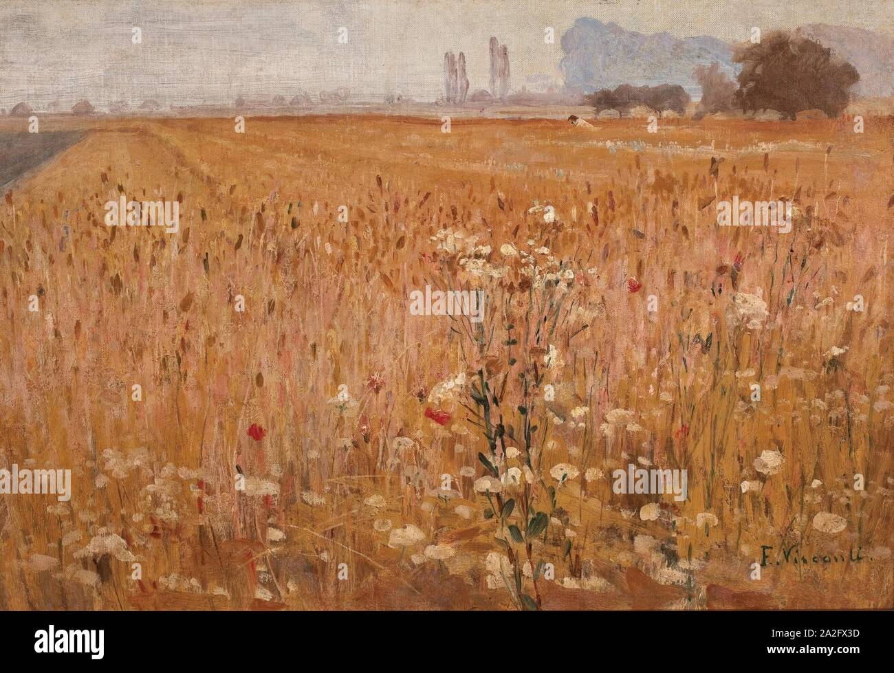 Trigal hi-res stock photography and images - Alamy