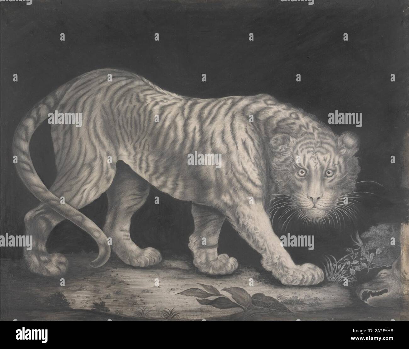 Elizabeth pringle hi-res stock photography and images - Alamy