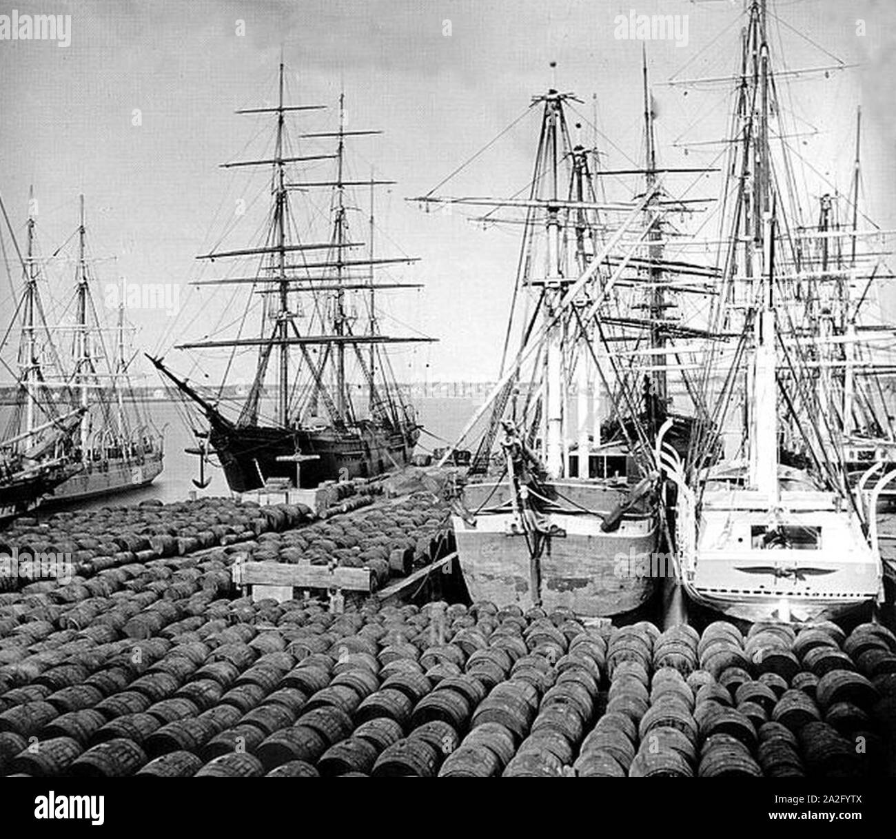 Elizabeth watts hi-res stock photography and images - Alamy