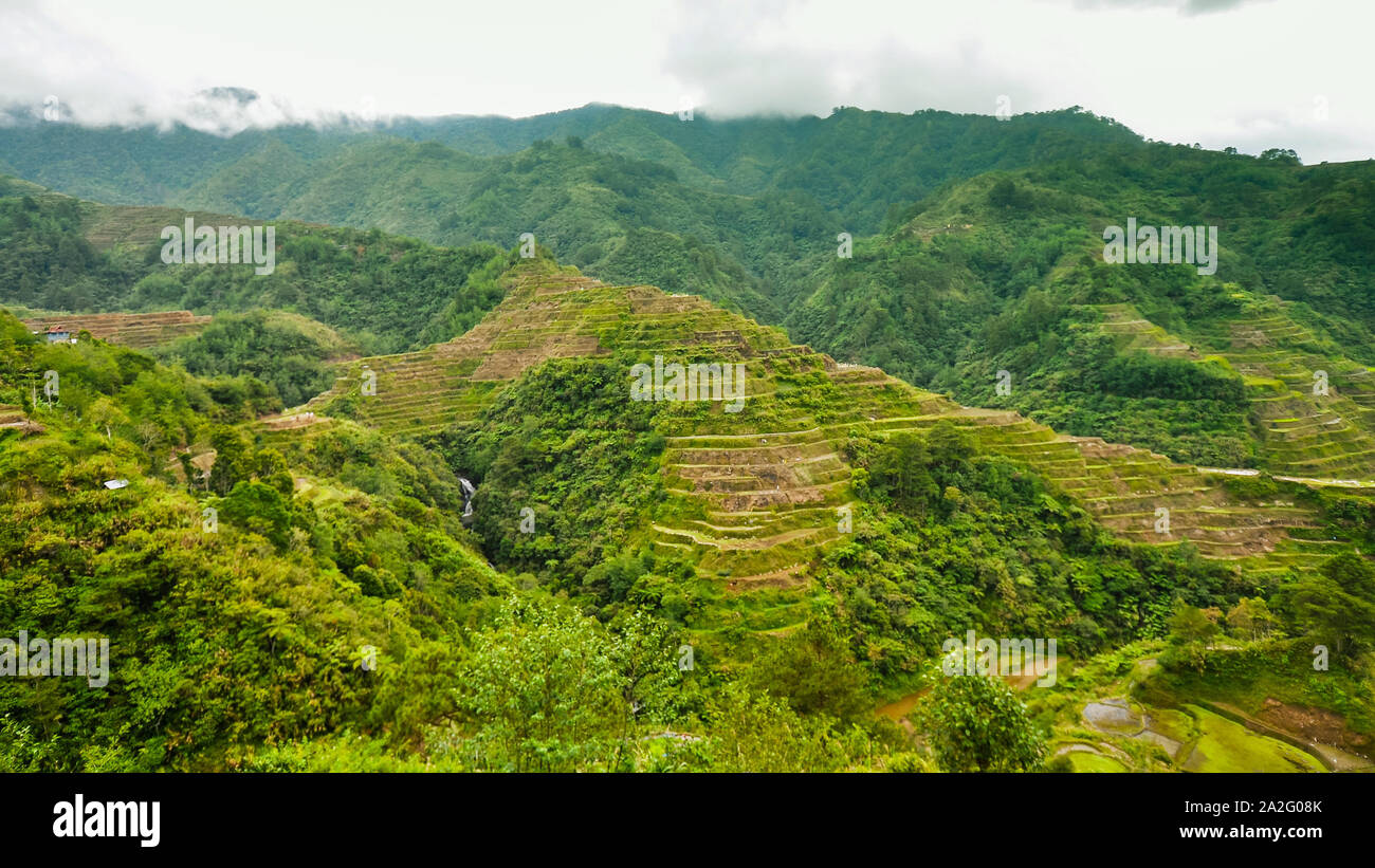 Rice Terraces - Banaue, Ifugao, Philippines Stock Photo - Alamy
