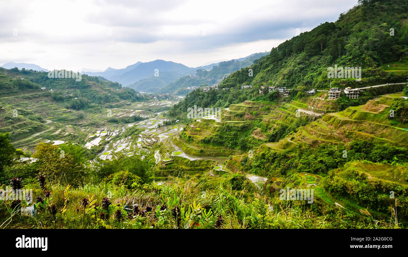 Rice Terraces - Banaue, Ifugao, Philippines Stock Photo - Alamy