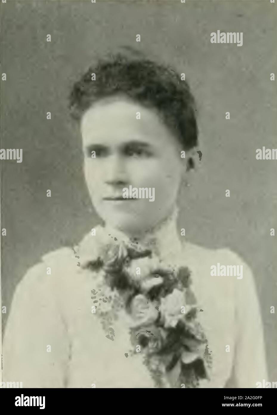 L 450 hi-res stock photography and images - Alamy