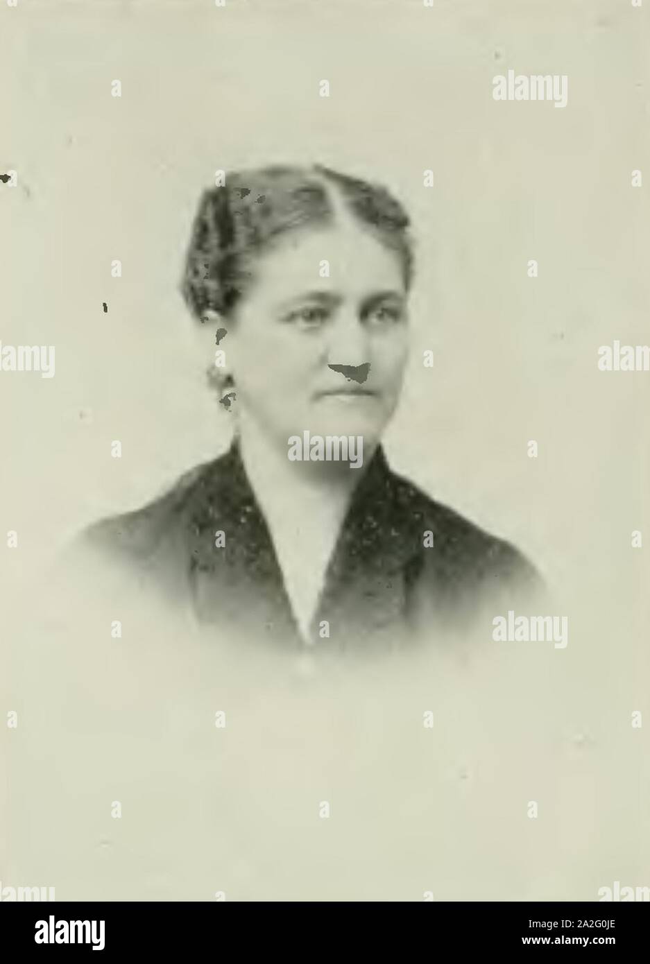 ELLEN DOUGLAS MORRIS A woman of the century (page 532 crop Stock Photo ...