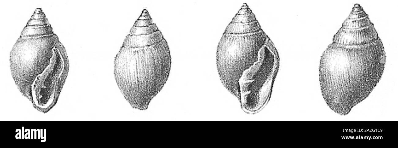 Pyramidale hi-res stock photography and images - Alamy