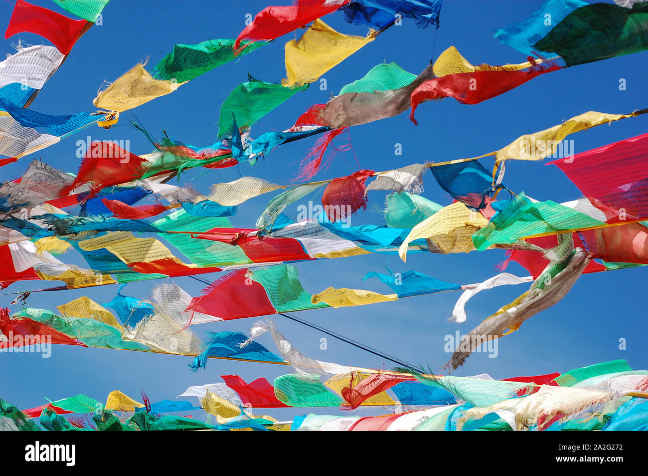 Colorful Tibetan flags fluttering in the wind in Lhasa, Tibet Stock ...