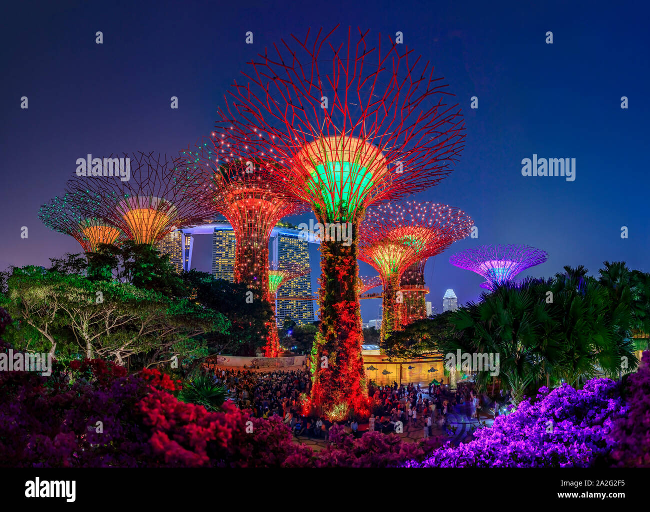 Colorful Light Show Garden Rhapsody Set At Sunset At The Supertree Colorful Light Show Garden Rhapsody Set At Sunset At The Supertree