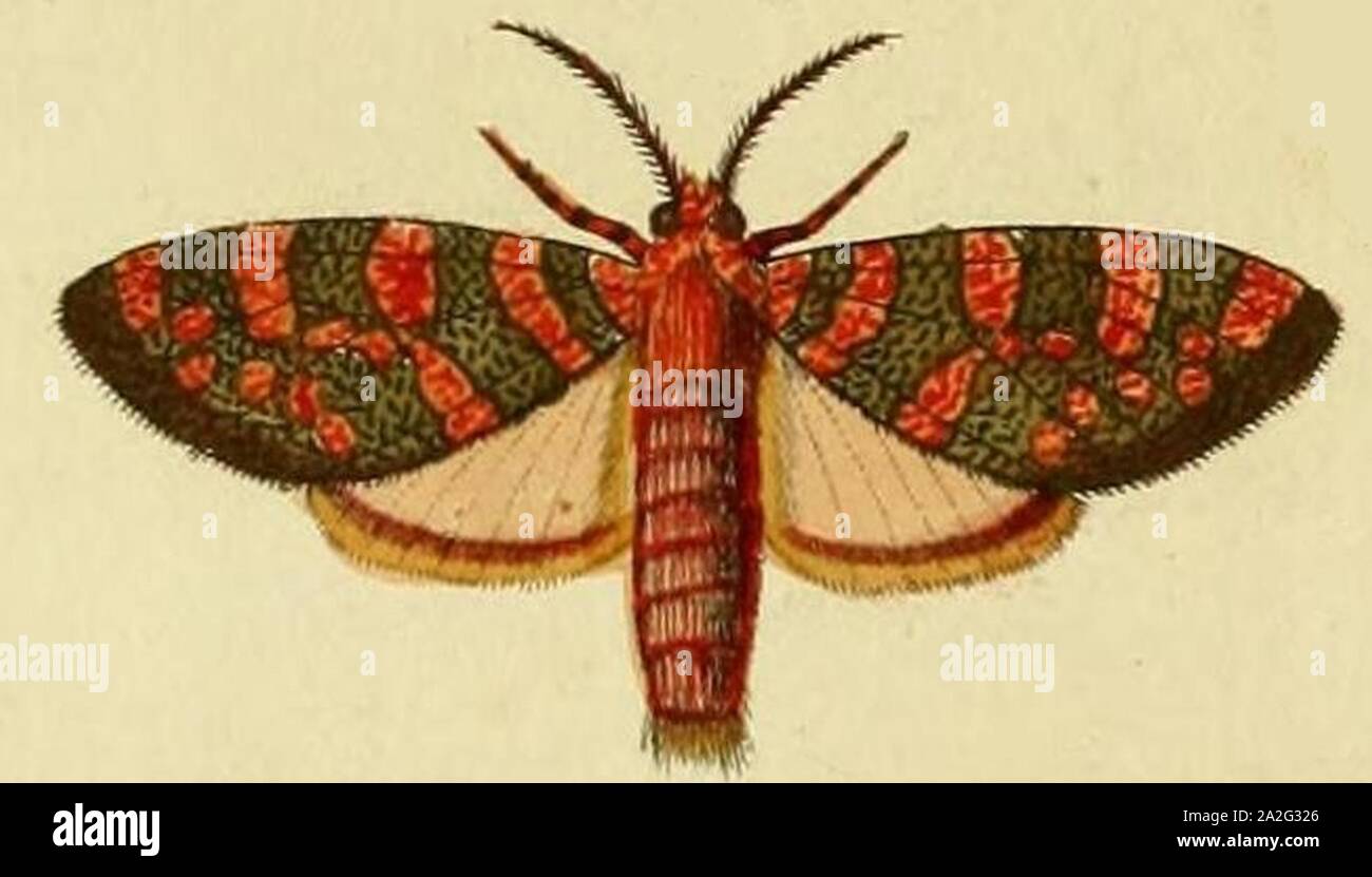 Hermia hi-res stock photography and images - Alamy