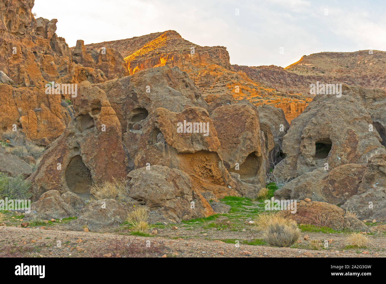 Lichen in the desert hi-res stock photography and images - Alamy