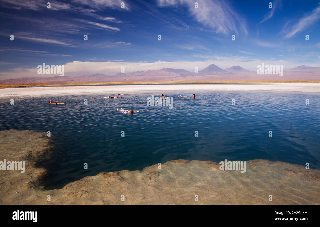 Laguna Cejar, salt water lagoon in the Atacama Desert, Salar De Atacama ...