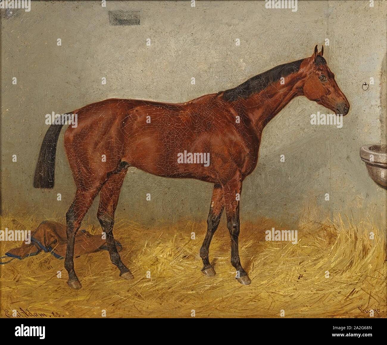 Emil adam hi-res stock photography and images - Alamy