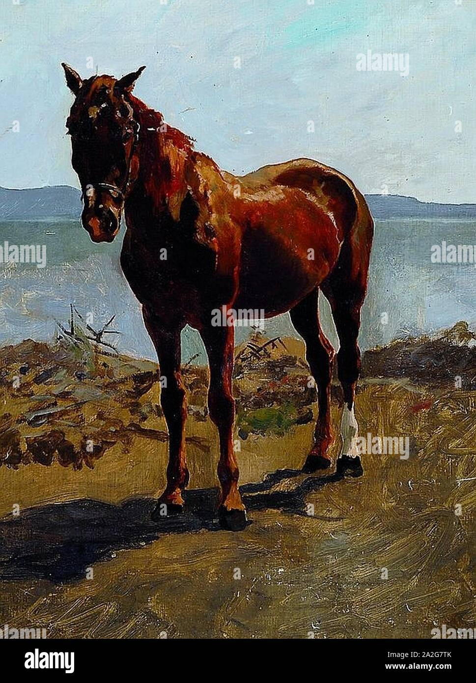 Emil Rumpf - Pferdestudie Stock Photo - Alamy