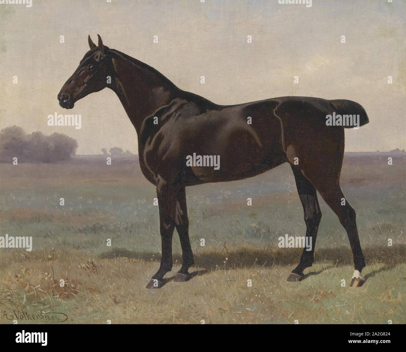 Rappe hi-res stock photography and images - Alamy