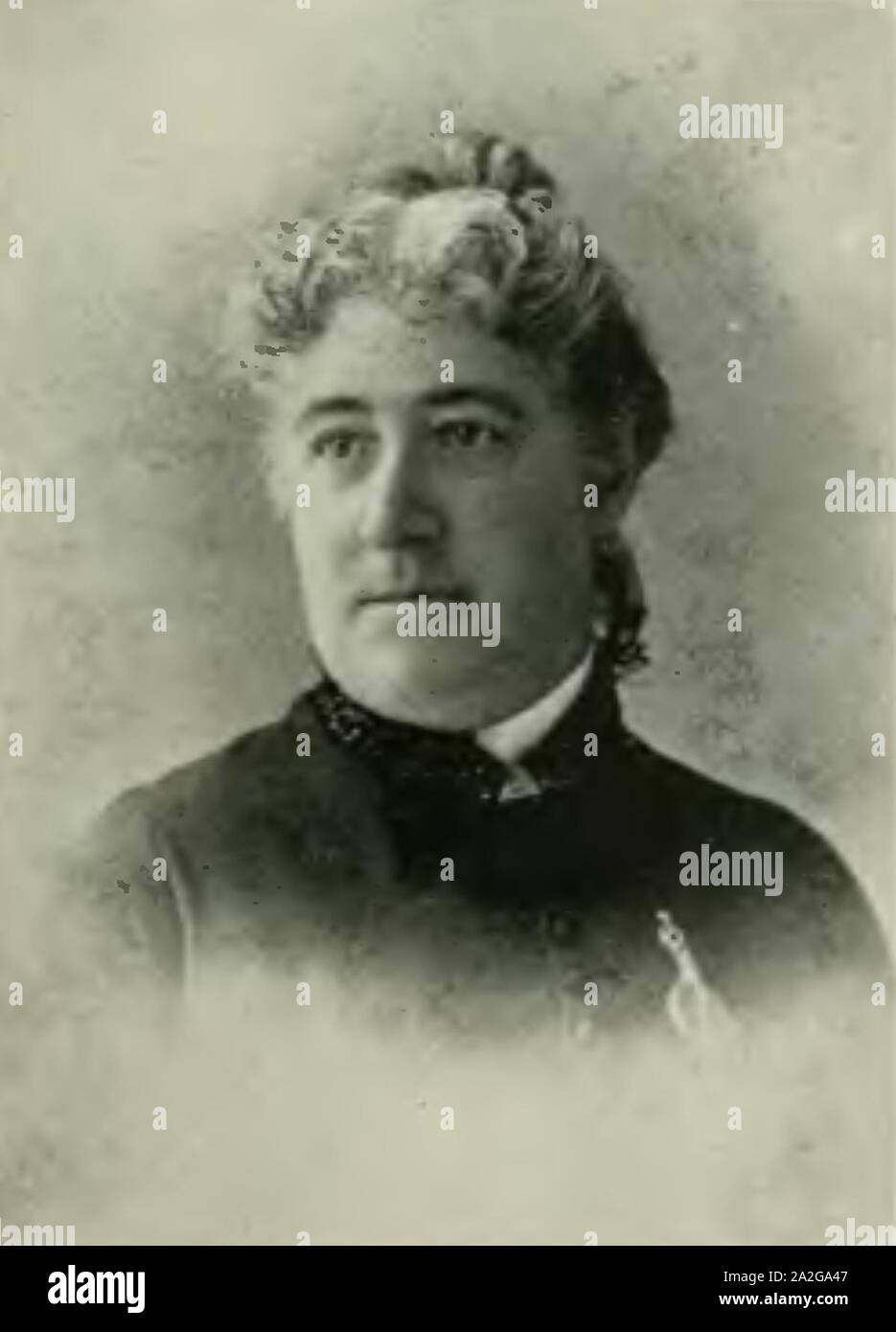 EMILY L. GOODRICH SMITH A woman of the century (page 671 crop Stock ...