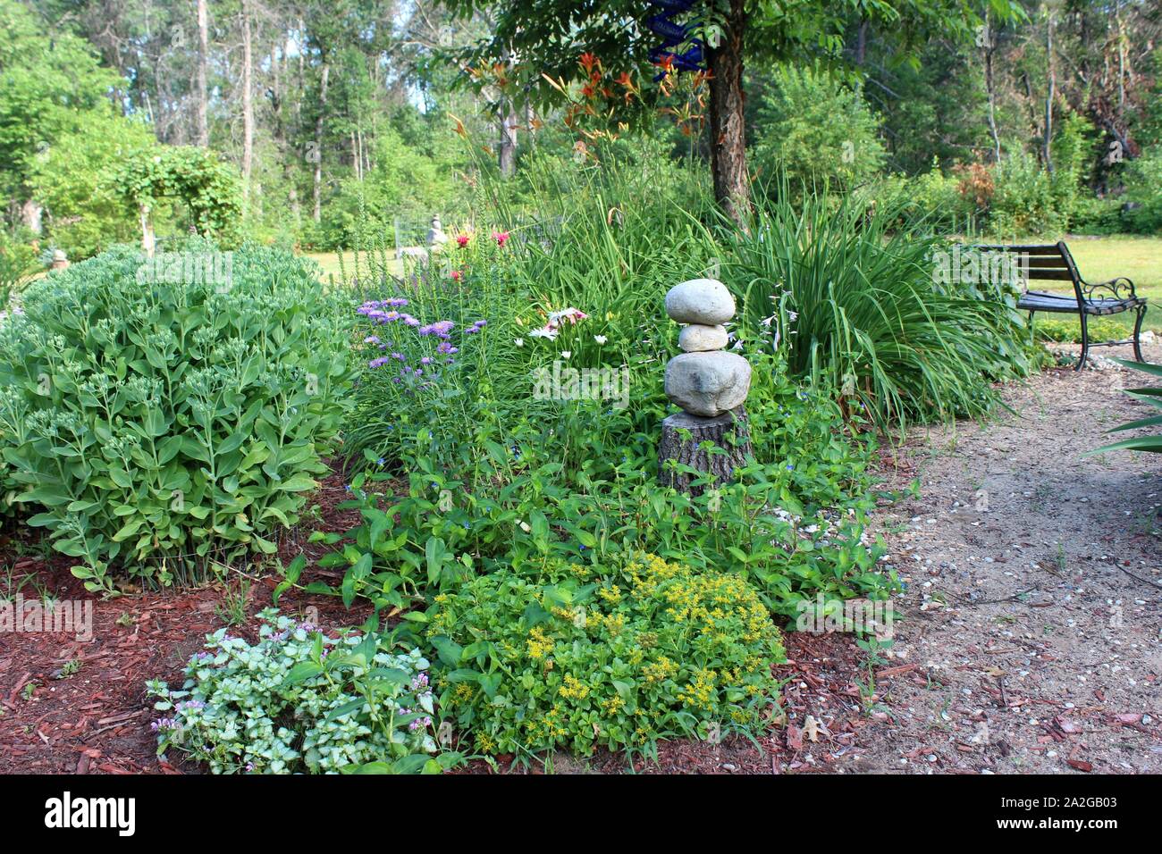 A Variety Of Plants Growing On A Garden Path Stock Photo - Alamy