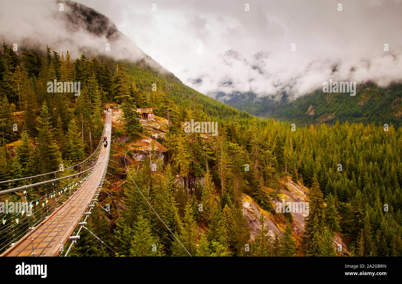 Bridge into mist hi-res stock photography and images - Alamy