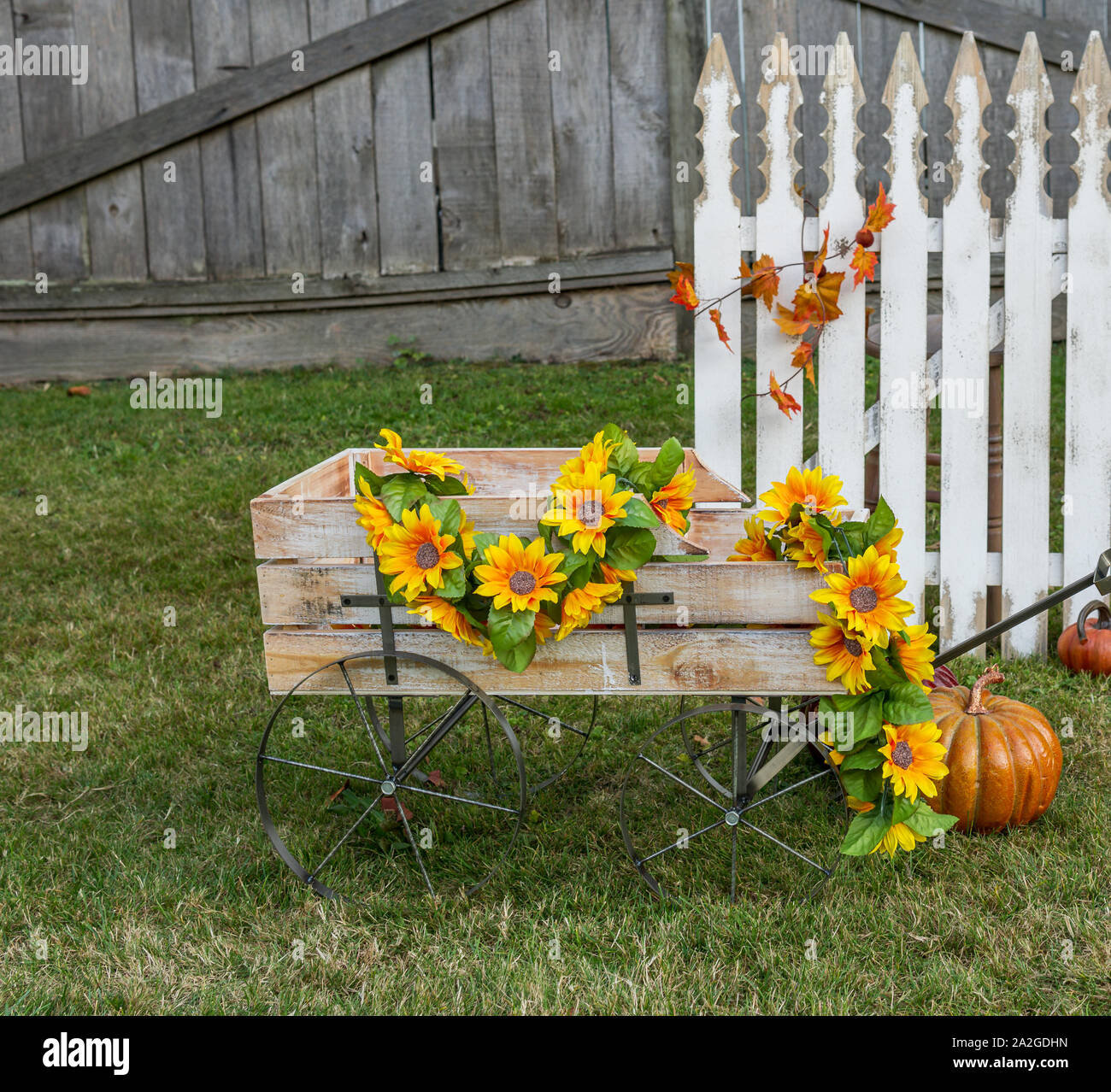 autumn background with pumpkins wood wagon and fence Stock Photo - Alamy