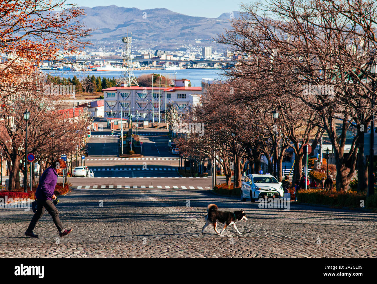 DEC 2, 2018 Hakodate, JAPAN -Motomachi slope Street with leafless tree ...