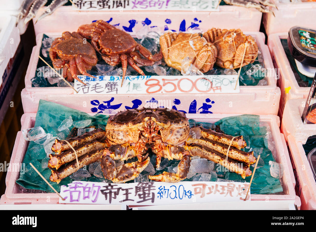 Japanese king crabs or Taraba and horsehair crab or Kegani at Hakodate ...