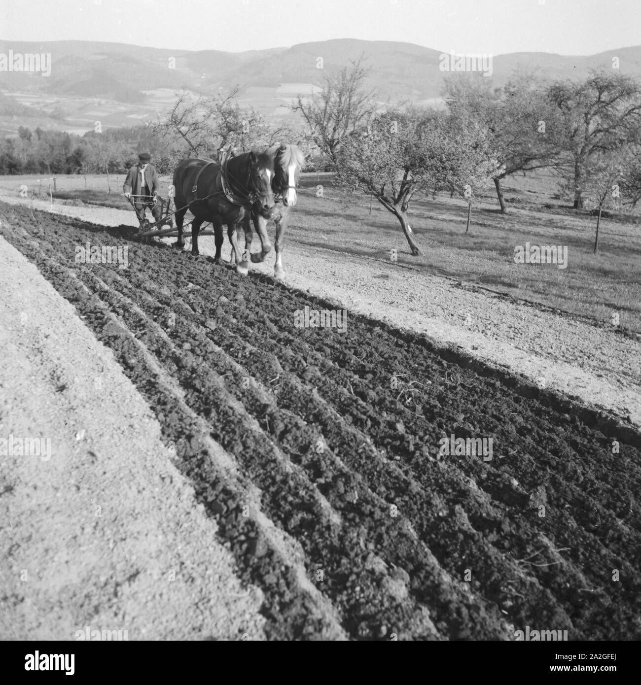 1930s farmer hi-res stock photography and images - Alamy