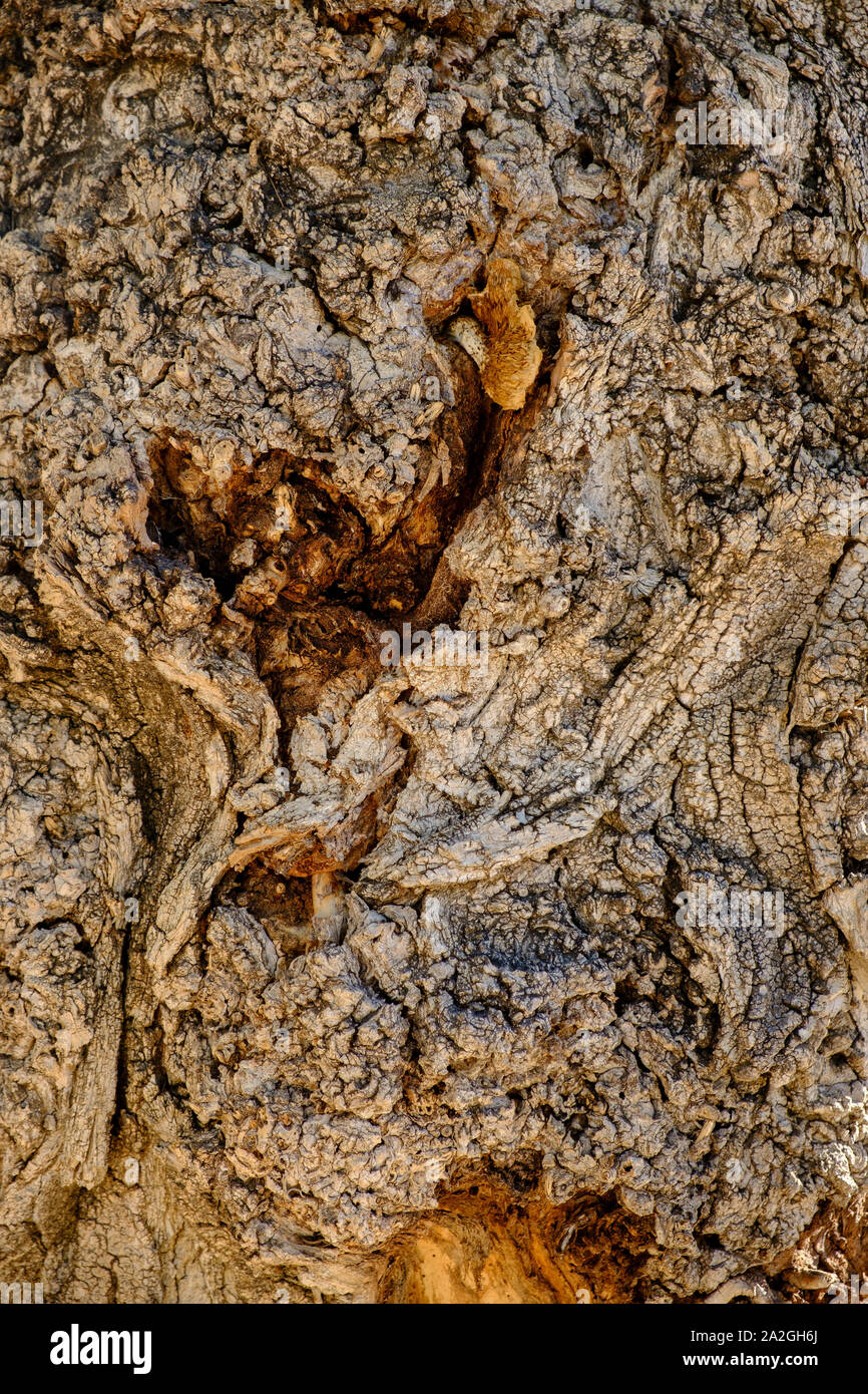 Low slit hi-res stock photography and images - Alamy