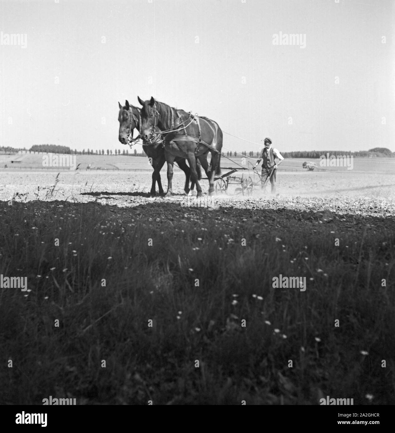 Bauer auf feld hi-res stock photography and images - Alamy