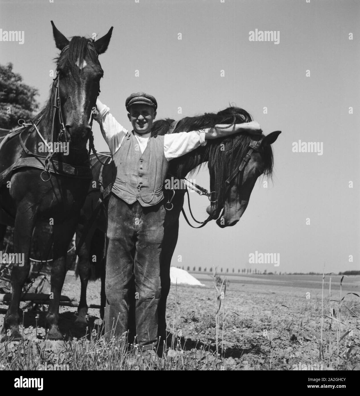 Bauer auf feld hi-res stock photography and images - Alamy