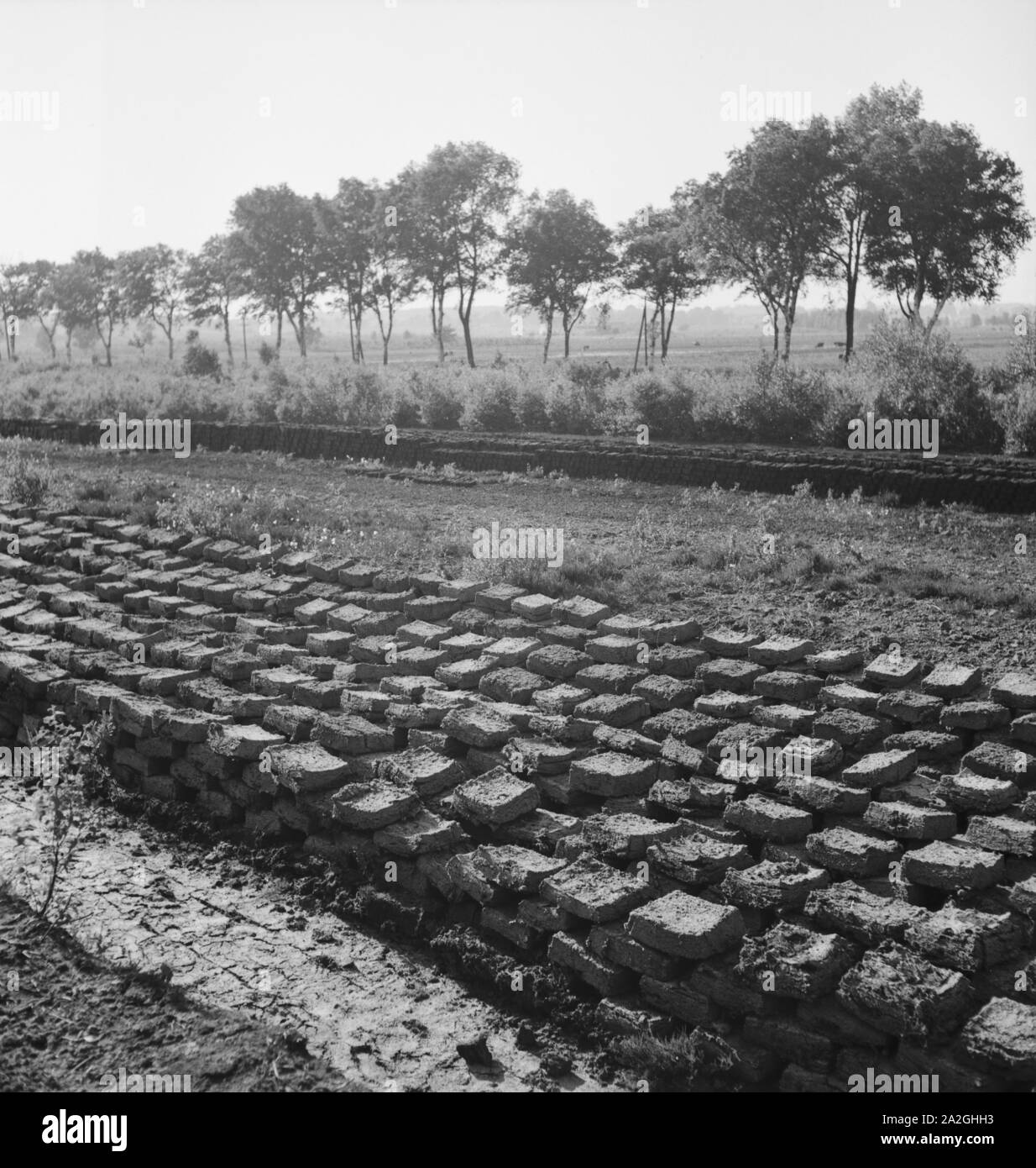 Peat digging Black and White Stock Photos & Images - Alamy