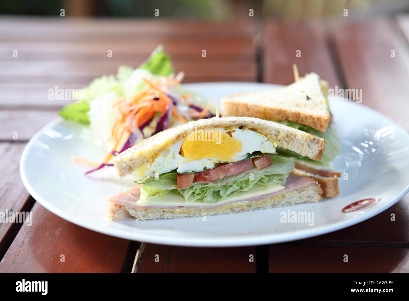 Toasted club sandwich on plate hi-res stock photography and images - Alamy