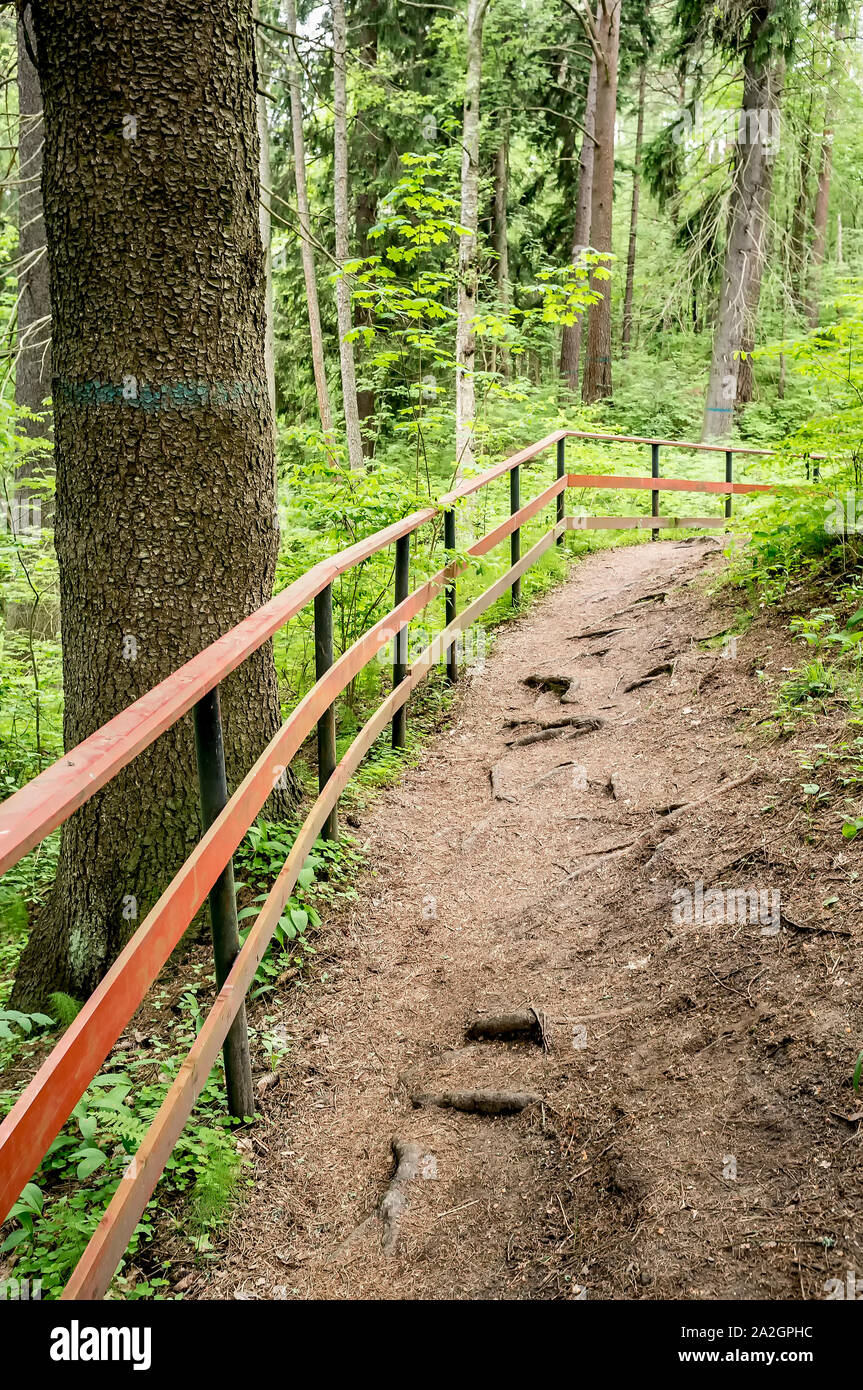 Enclosed pathway hi-res stock photography and images - Alamy