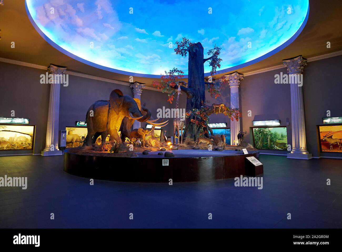 The interior view of one of the animal installations and a few of the ...