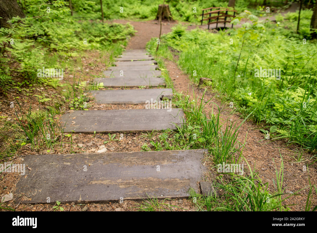 Wooden stairs are wet from the rain, and a path leading to a small ...
