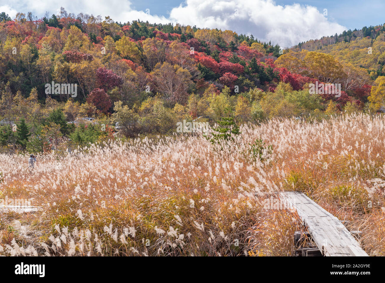 Mt bandai hi-res stock photography and images - Alamy