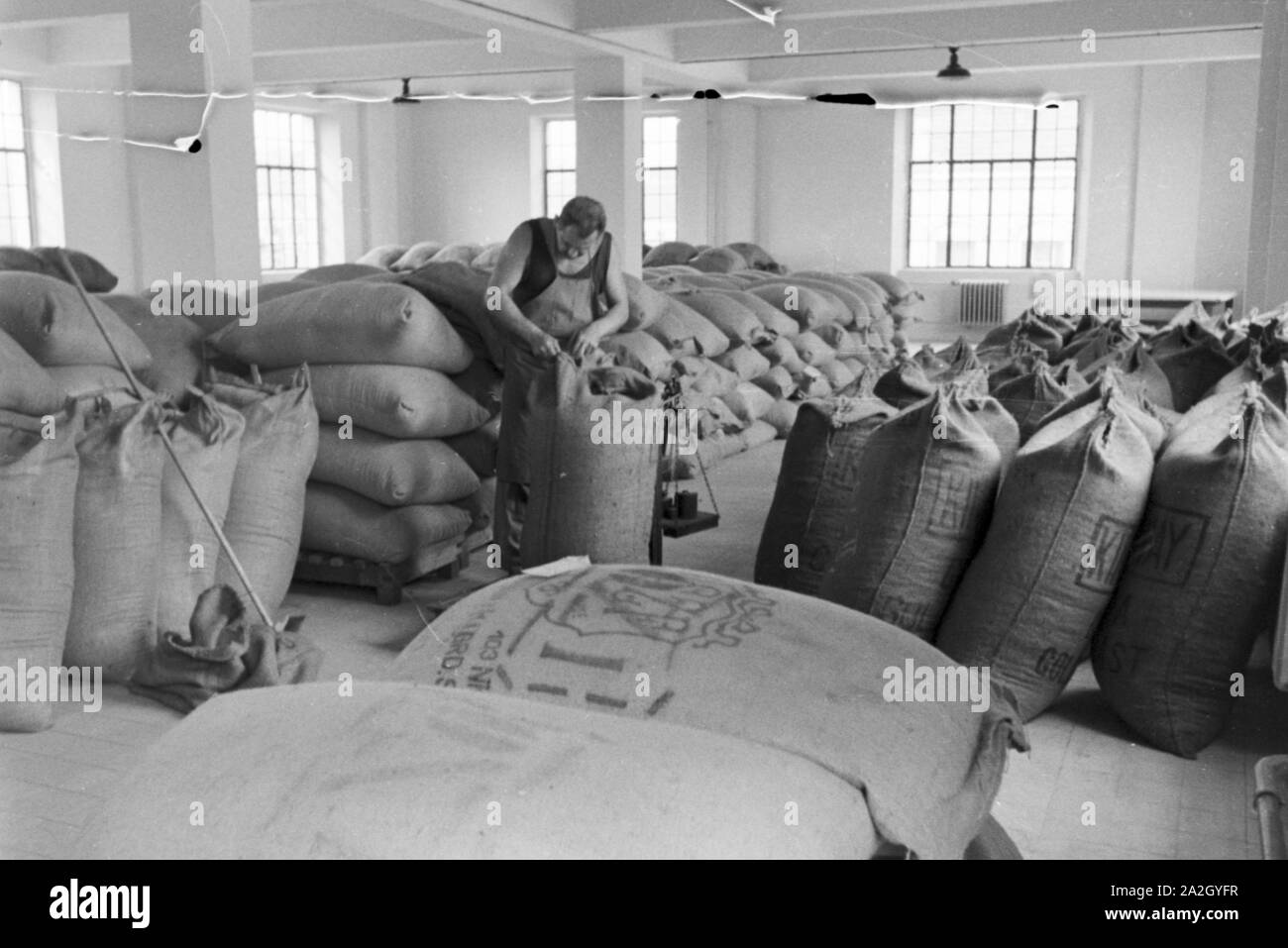 Eine Schokoladenfabrik in Wien, Deutsches Reich 1930er Jahre. A ...