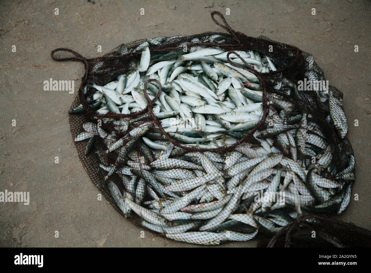 Fishing artel hi-res stock photography and images - Alamy