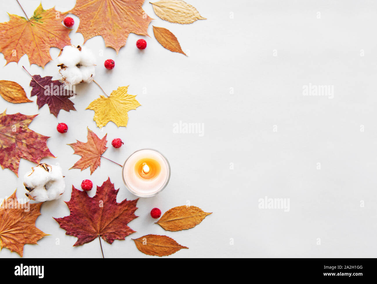 Autumn composition. Frame made of cotton flowers, dried leaves on white ...