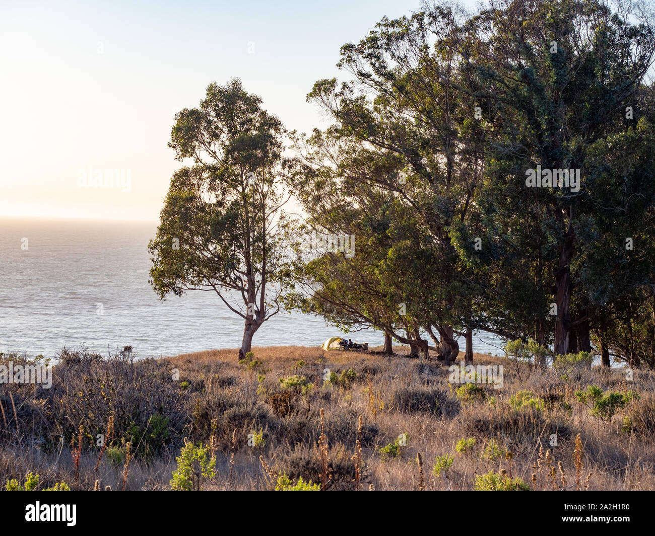 Tent campsite on bluff over ocean at sunset in Montana de Oro State ...
