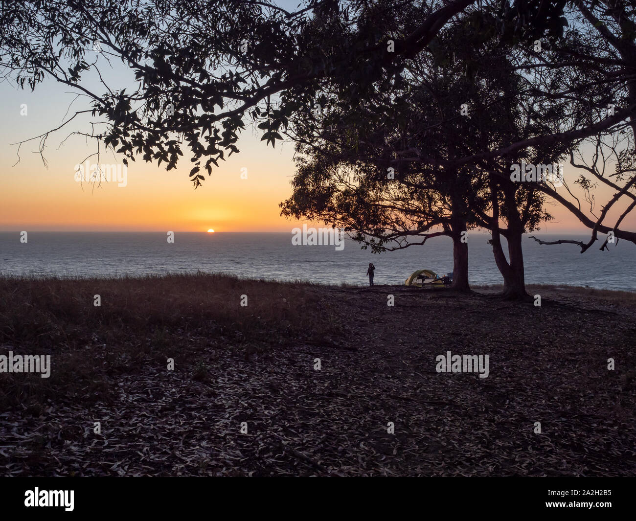 Tent campsite on bluff over ocean at sunset in Montana de Oro State ...