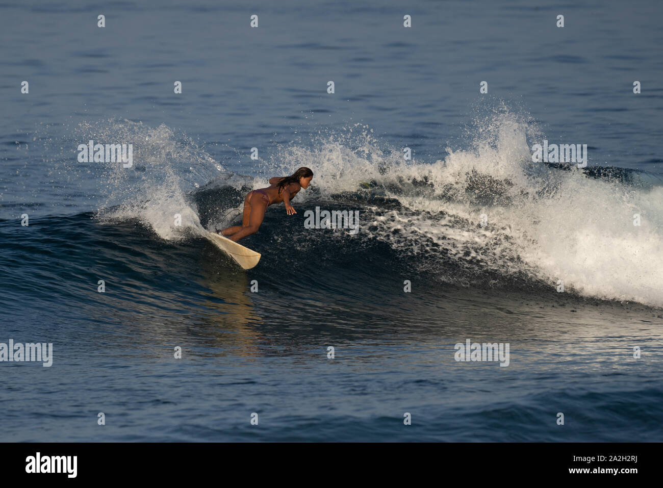A tanned Filipino girl surfing at the famous Cloud 9 surf break,Siargao ...