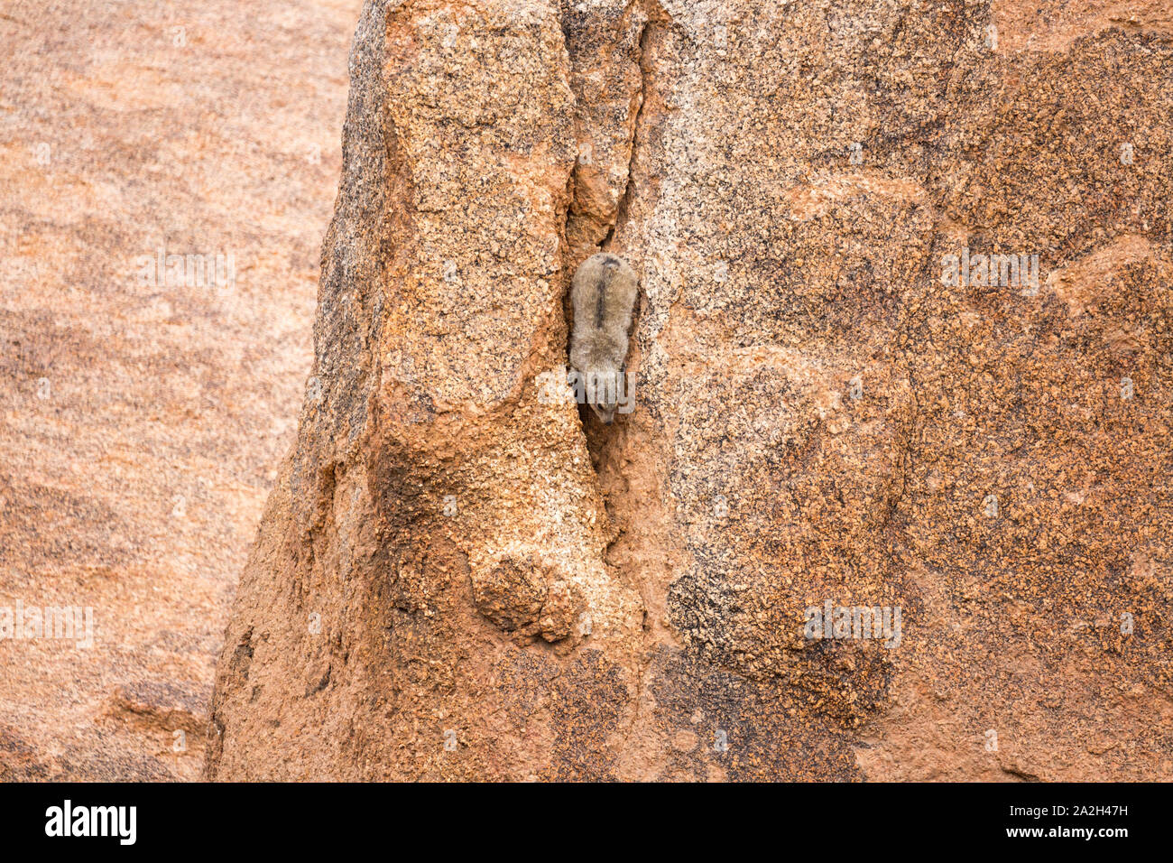Crevice and rock climbing hi-res stock photography and images - Alamy