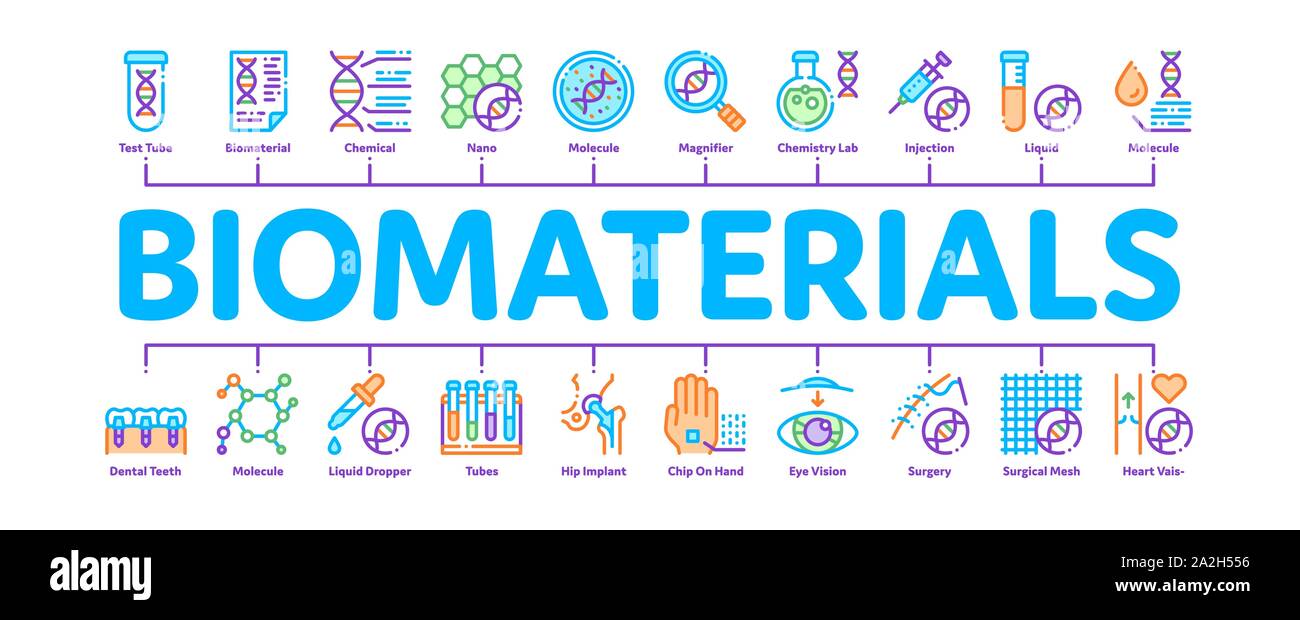 Biomaterials Minimal Infographic Banner Vector Stock Vector Image & Art ...