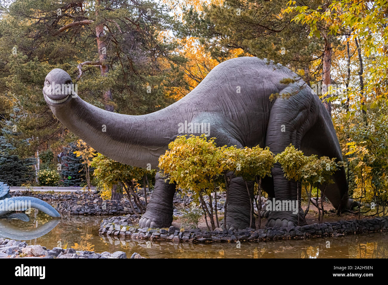 Sauropods teeth hi-res stock photography and images - Alamy