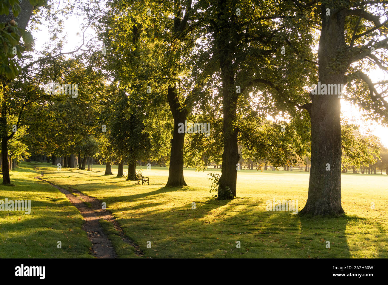 Dirt path city hi-res stock photography and images - Alamy