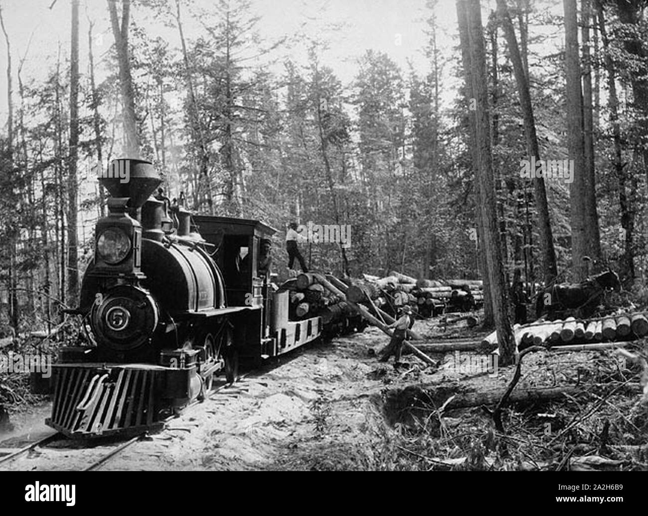 Engine number 5 Black and White Stock Photos & Images - Alamy